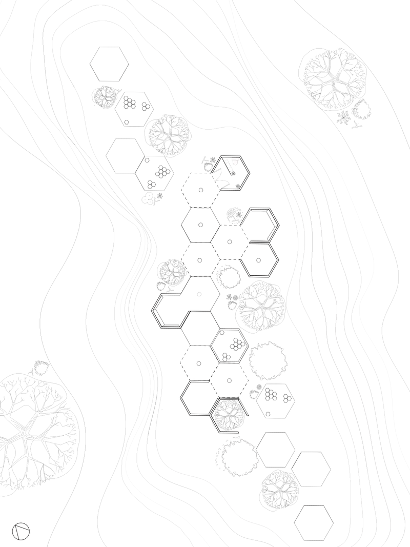 TSOA / Immersion Program