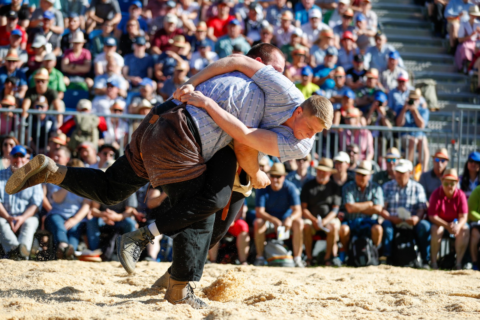 Galerie | Michael Ledermann - Offizielle Webseite des Schwingensportlers