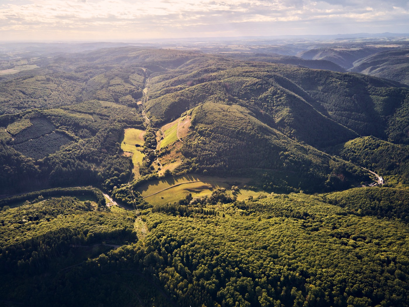 Sorentberg Riesling - Beyond The Bottle