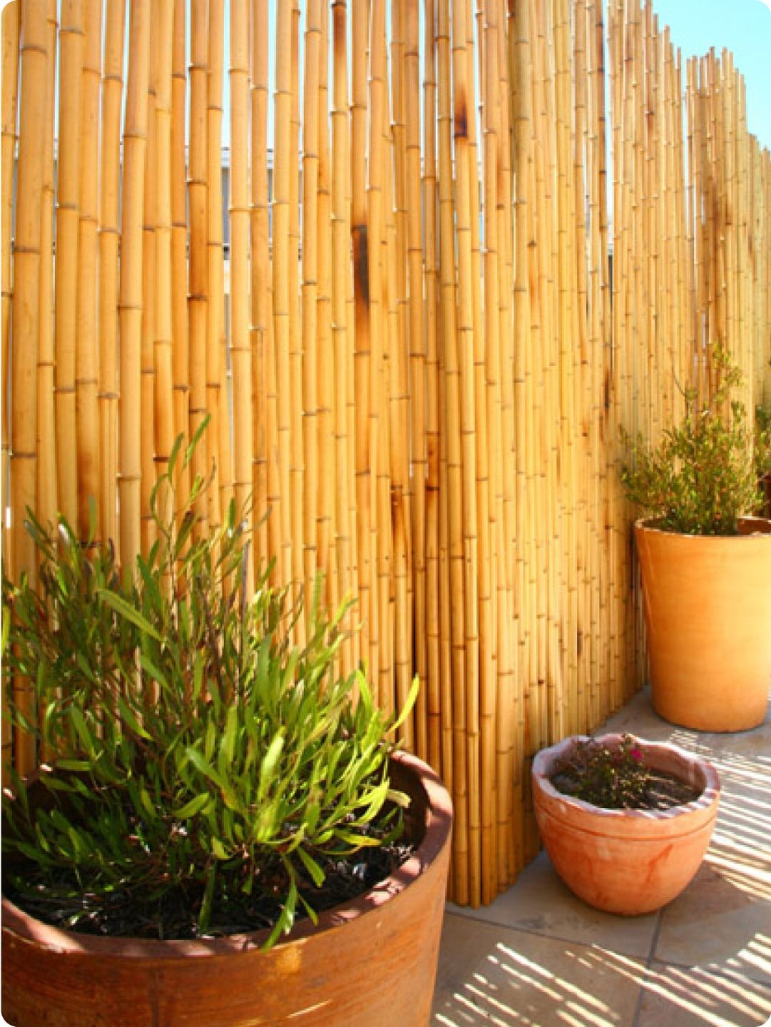 Bamboo Fences & Ceilings