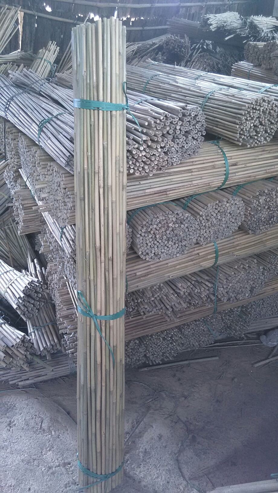 Bamboo Poles & Stakes