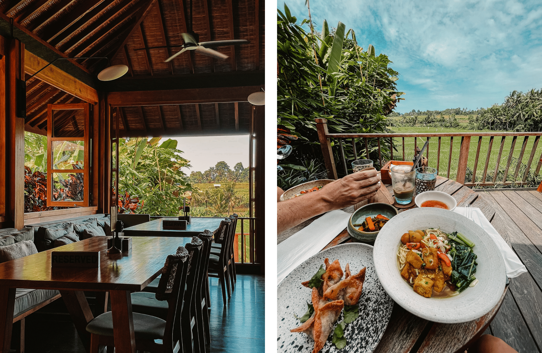 12 Best Restaurants & Cafes in Ubud, Bali