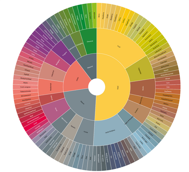 Developing a Modern Cannabis Aroma Lexicon