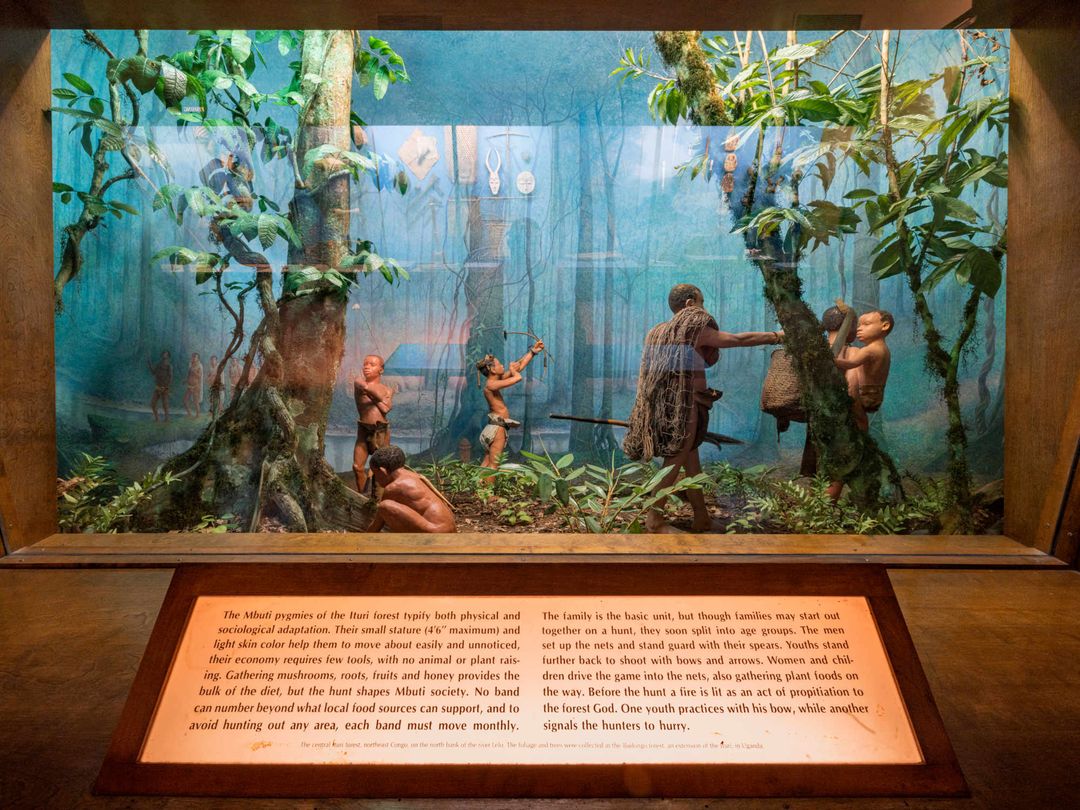 Race and the American Museum of Natural History