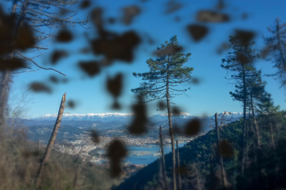 What Does a Person with Diabetic Retinopathy See? | West Boca Eye Center