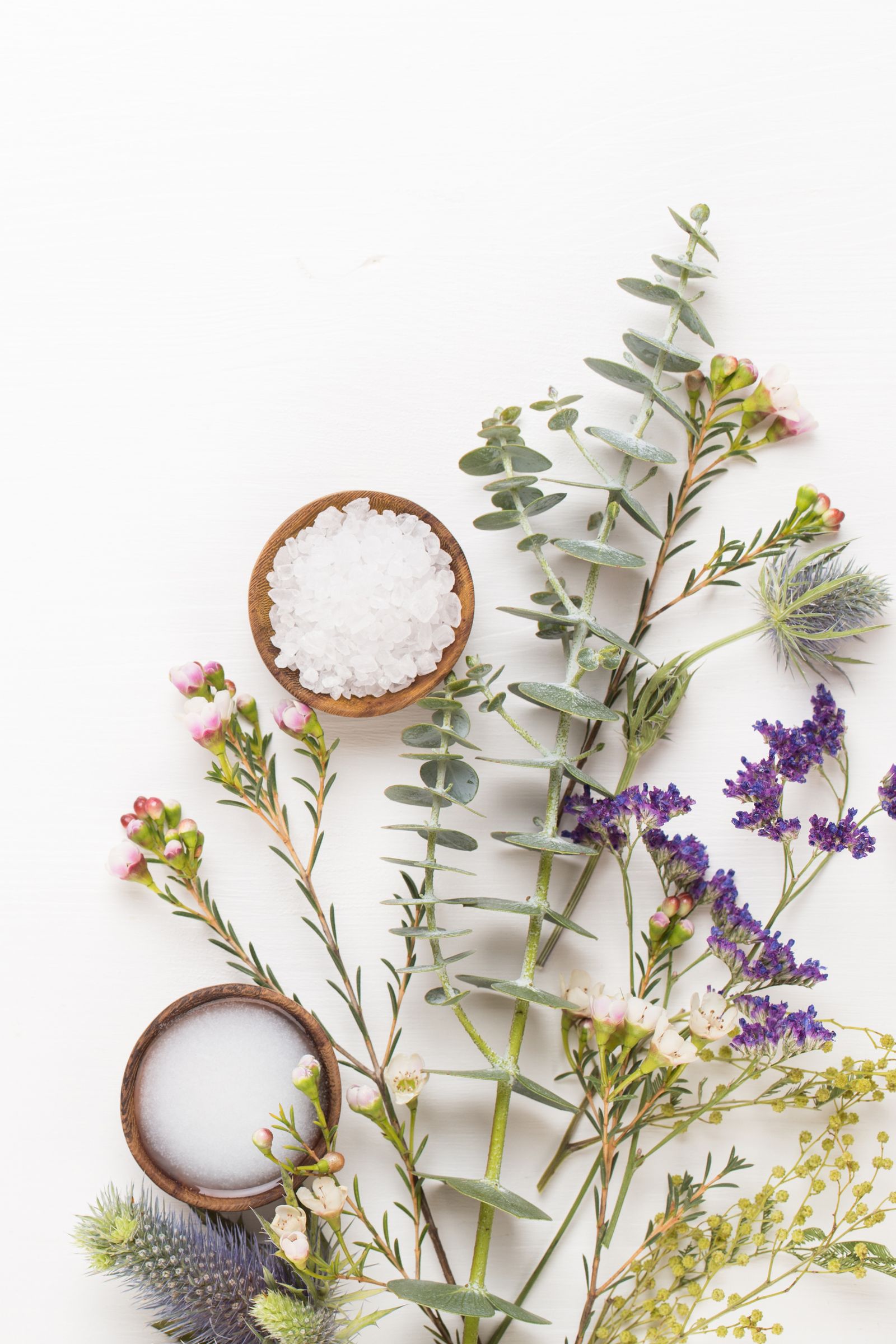 About - Klen Earth Products