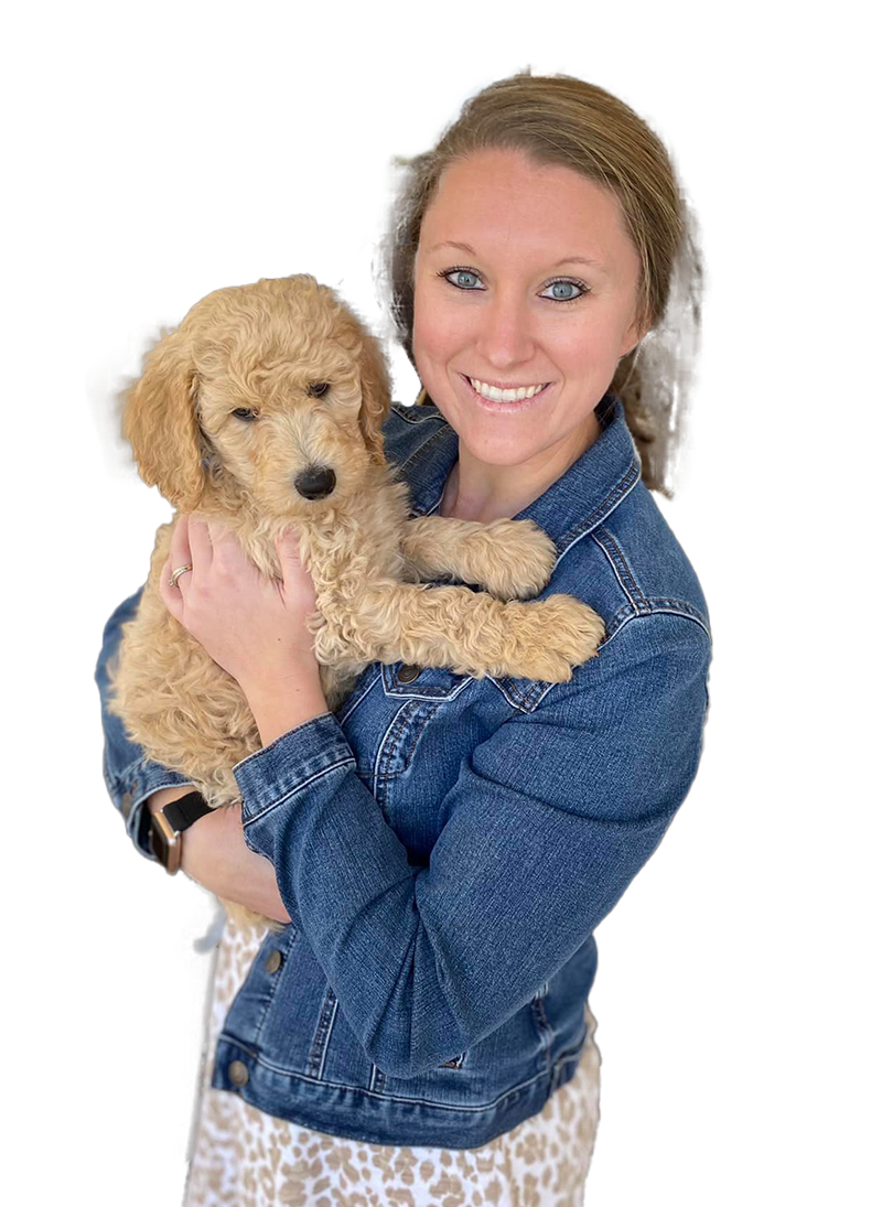 Ebert Design Company