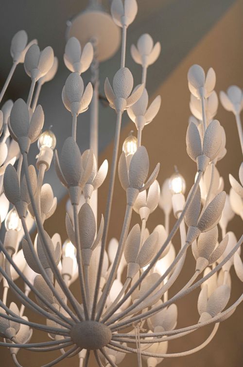 About | Lucía Lighting and Design