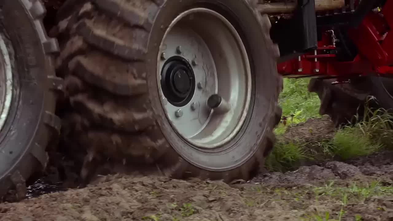 Etusivu- Farmi Forest