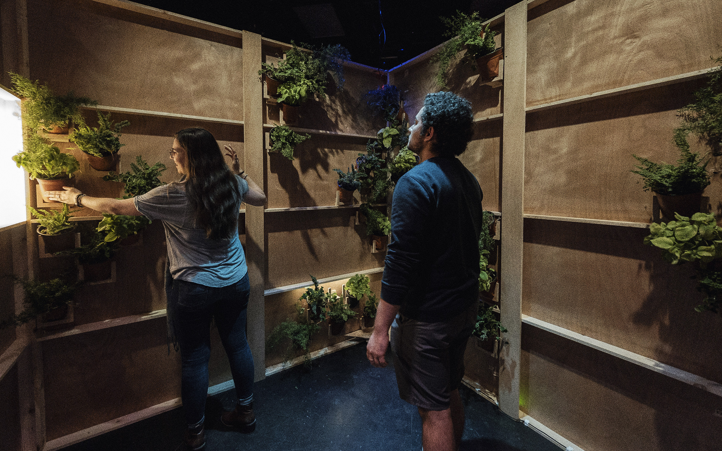 nature(.c)ode | Interactive Design by Orsolya Szantho