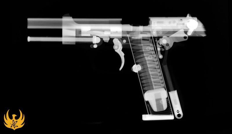 Phoenix Neutron Imaging | Radiation Hardening & Radiation Effects Testing