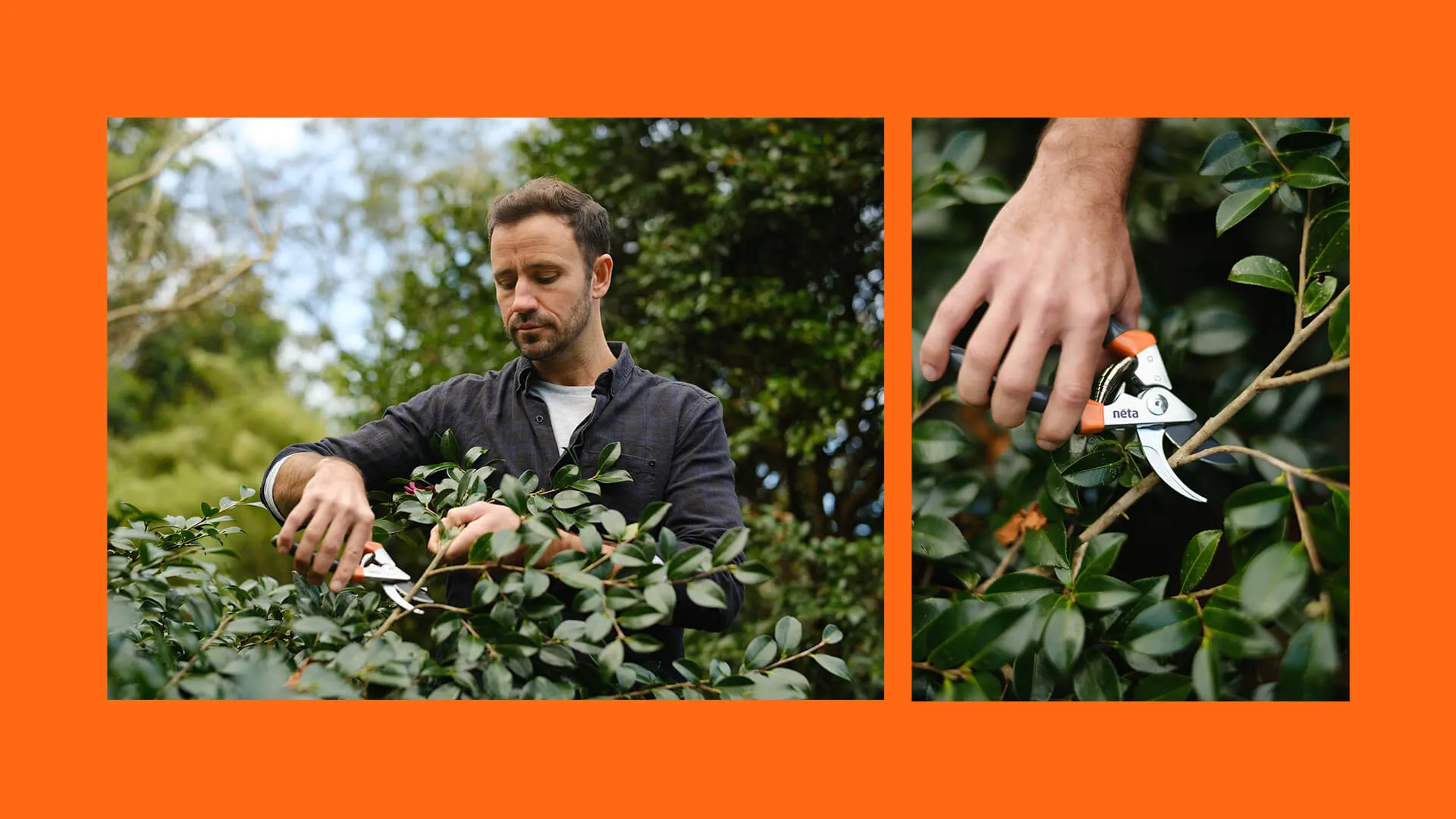 Talk Agency: Digital Marketing Agency