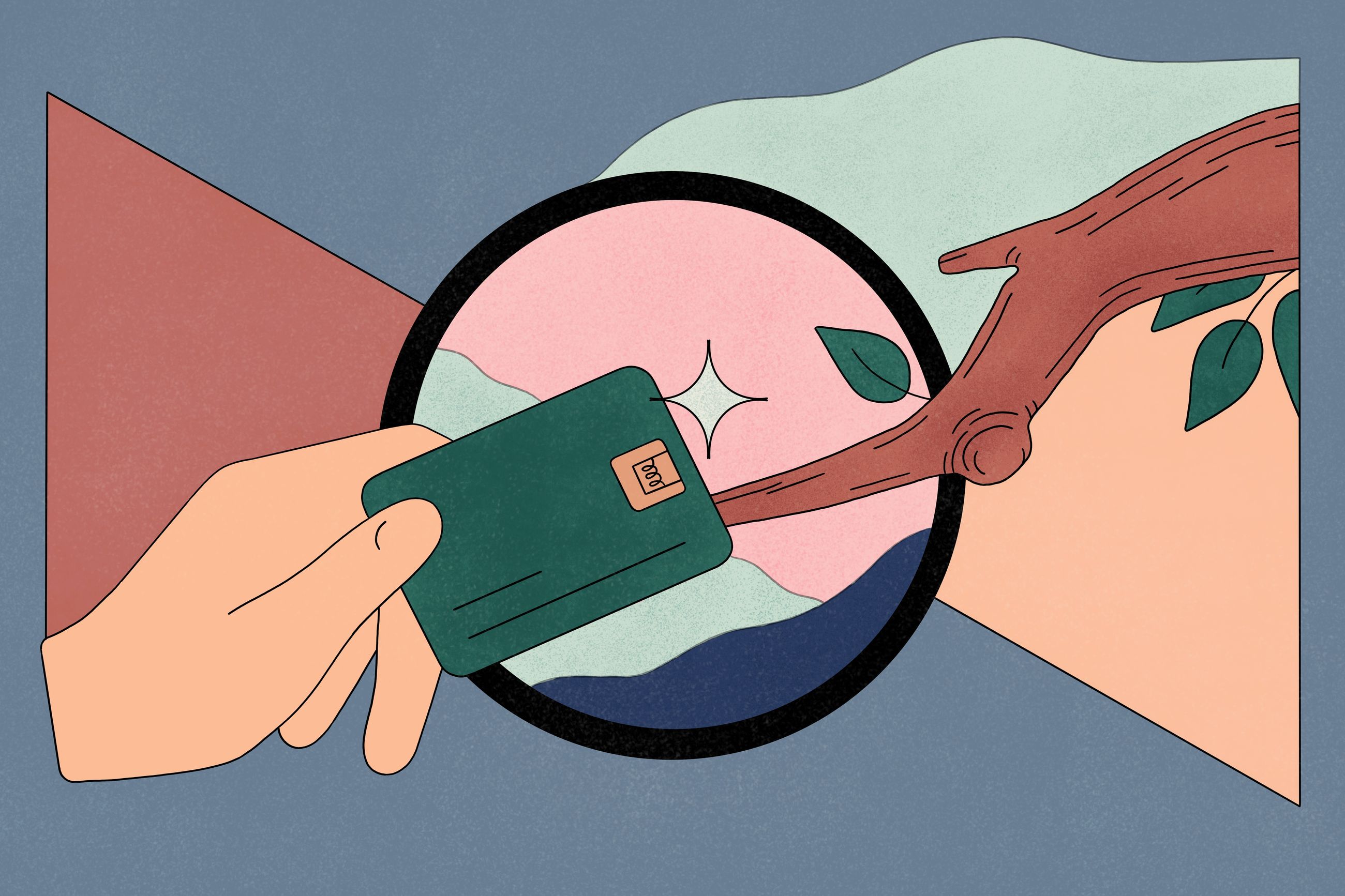 Farm | A quick guide to carbon offsets