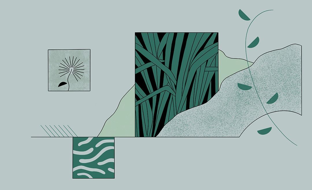 Farm | What is land restoration?