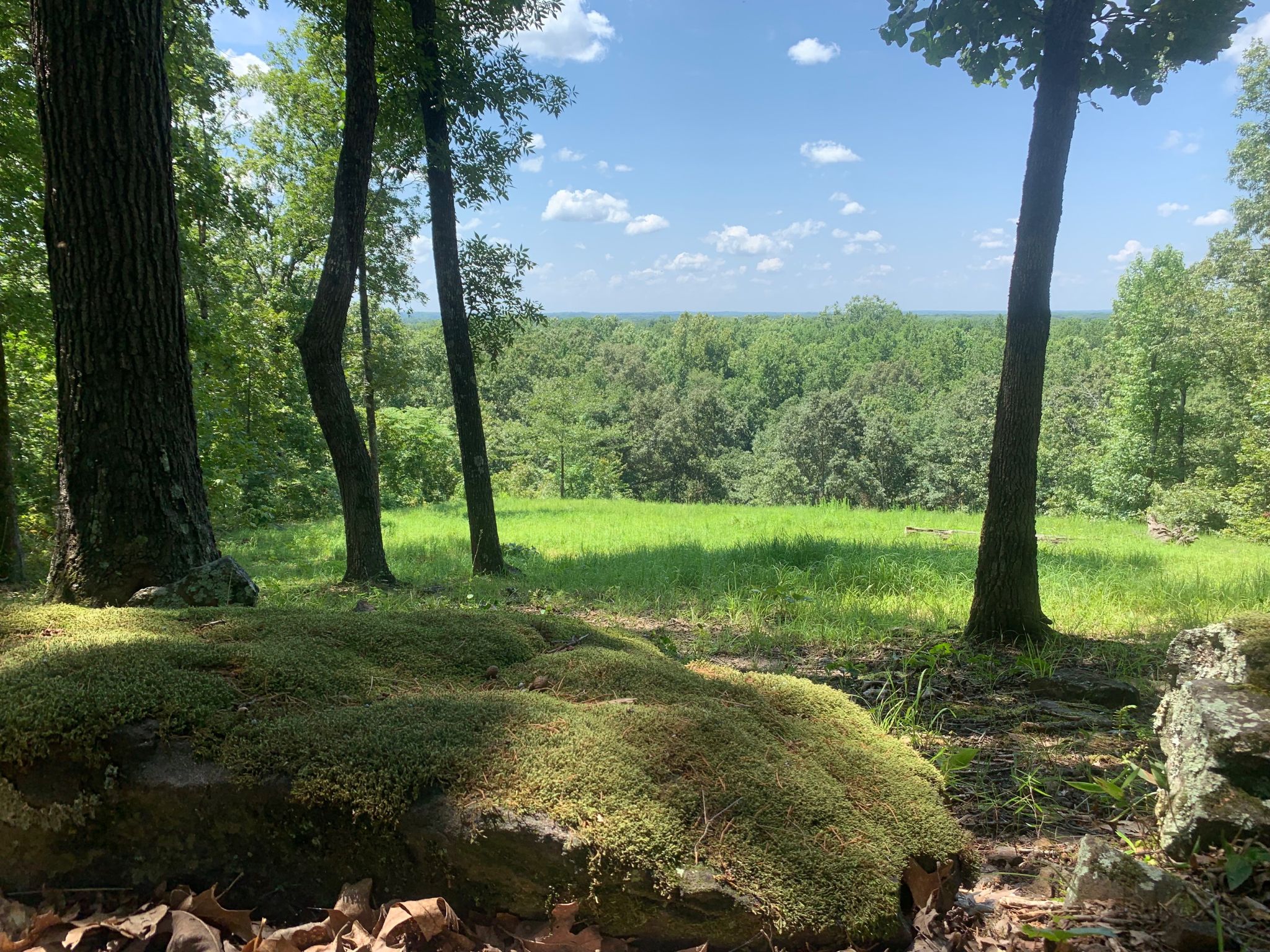 How To Conserve | Wolf River Conservancy