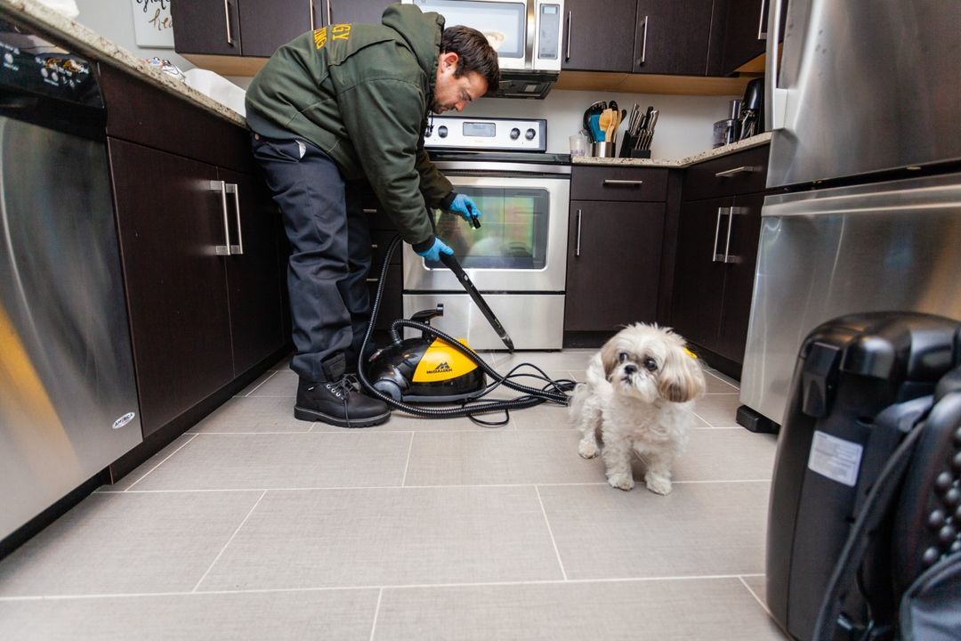 Ecology Exterminating