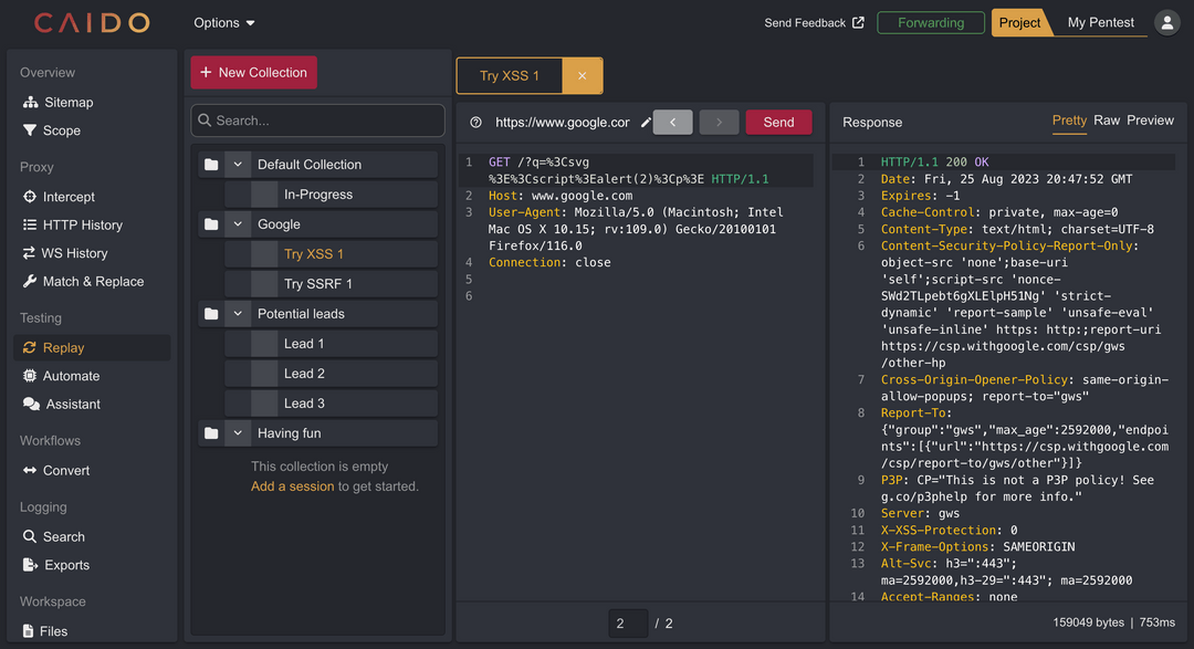 Caido - A lightweight web security auditing toolkit