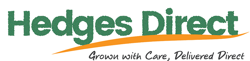 Solidbond | About us