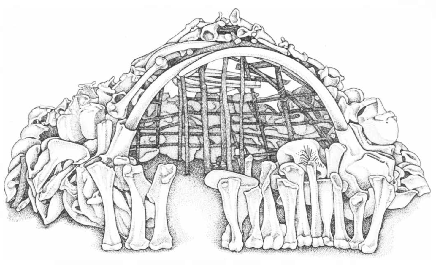 The Mammoths Found in the Thawing Permafrost
