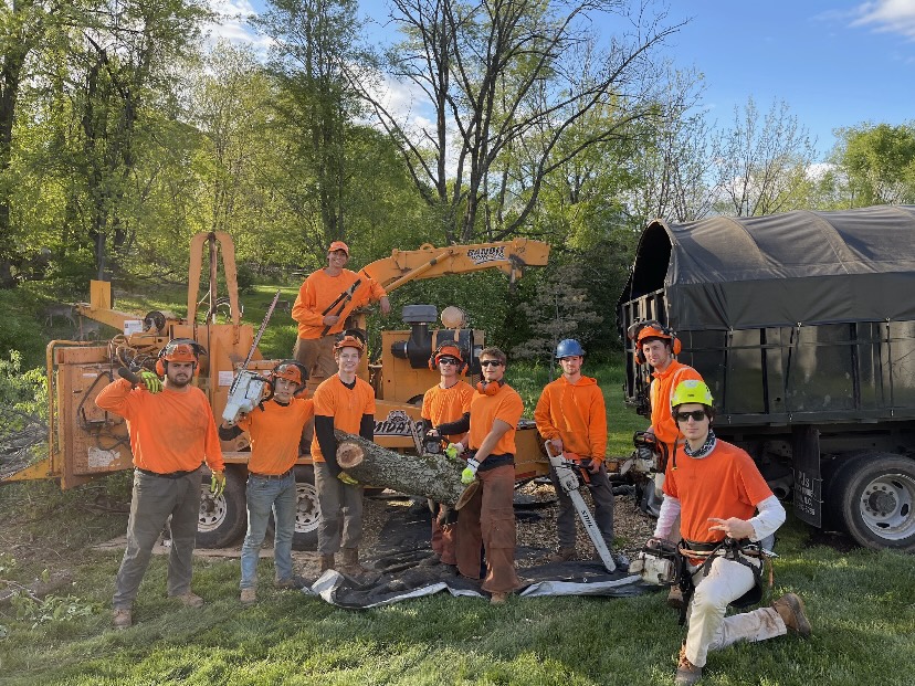 Lumberjacks NJ Tree Service - New Jersey Tree Specialists