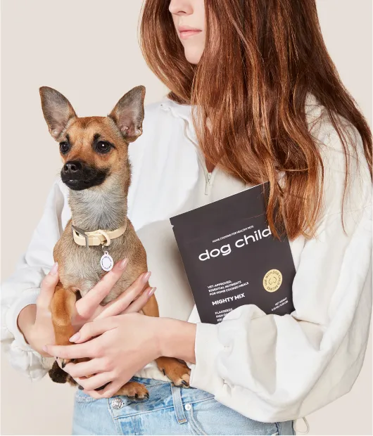 August Strategy – Strategic Brand Marketing Agency