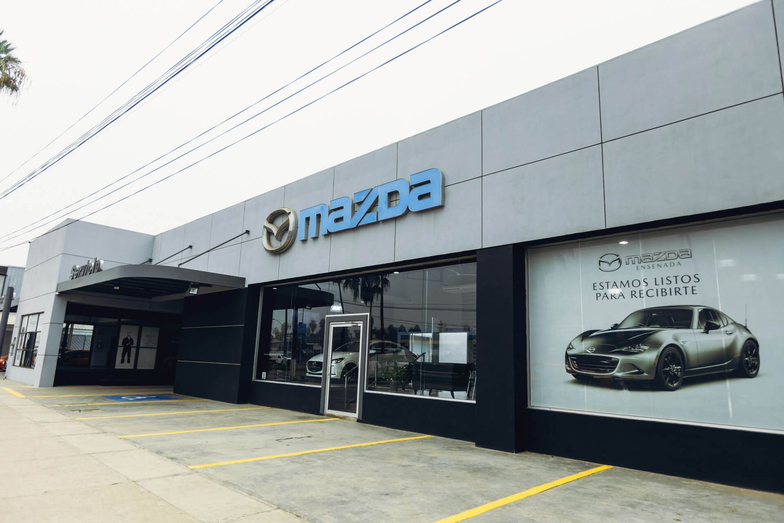 Nosotros | Grupo AutoPasión