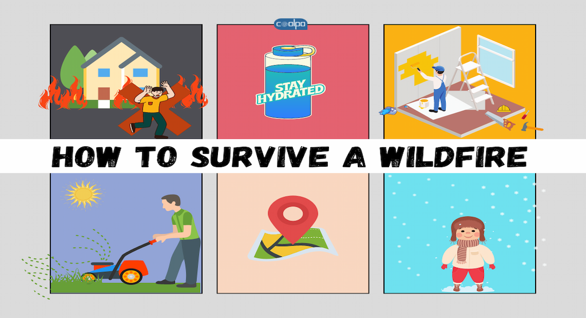 10 Things You Need to Know: How to Survive a Wildfire in the US!