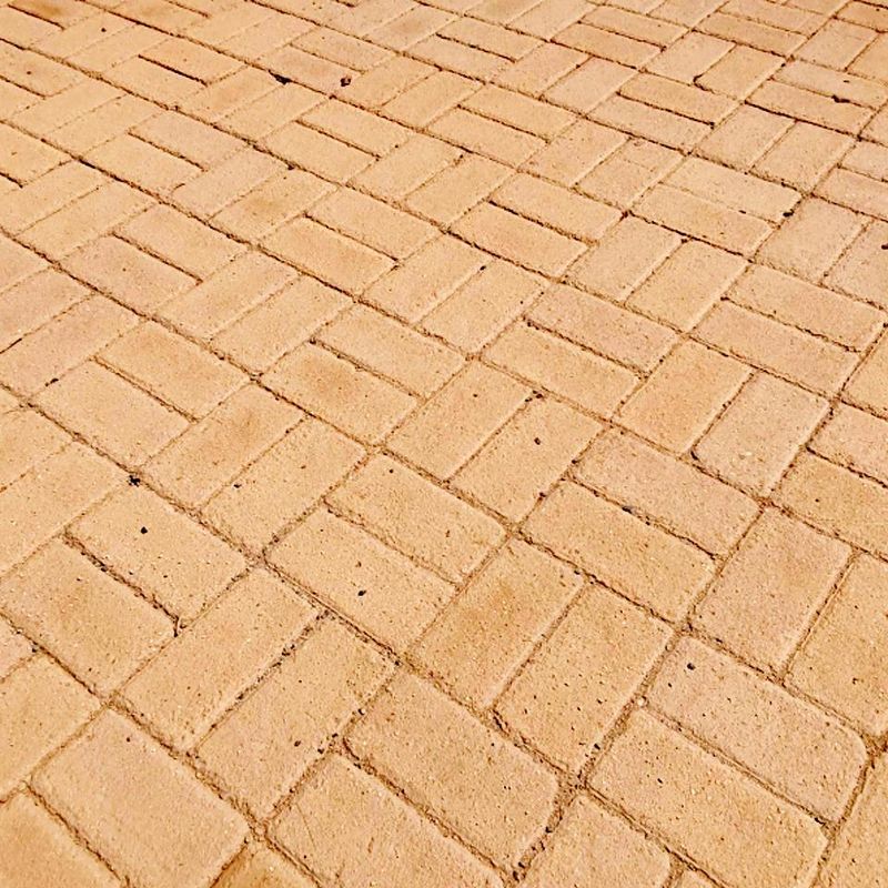 EarthBlock | Building a Better Future