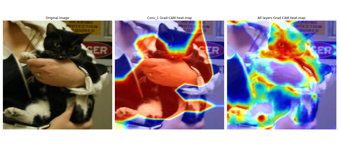 Understanding your Algorithm with Grad-CAM
