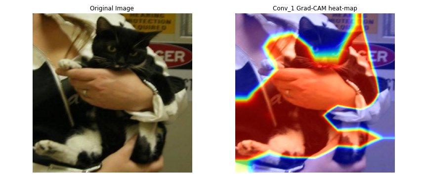 Understanding your Algorithm with Grad-CAM