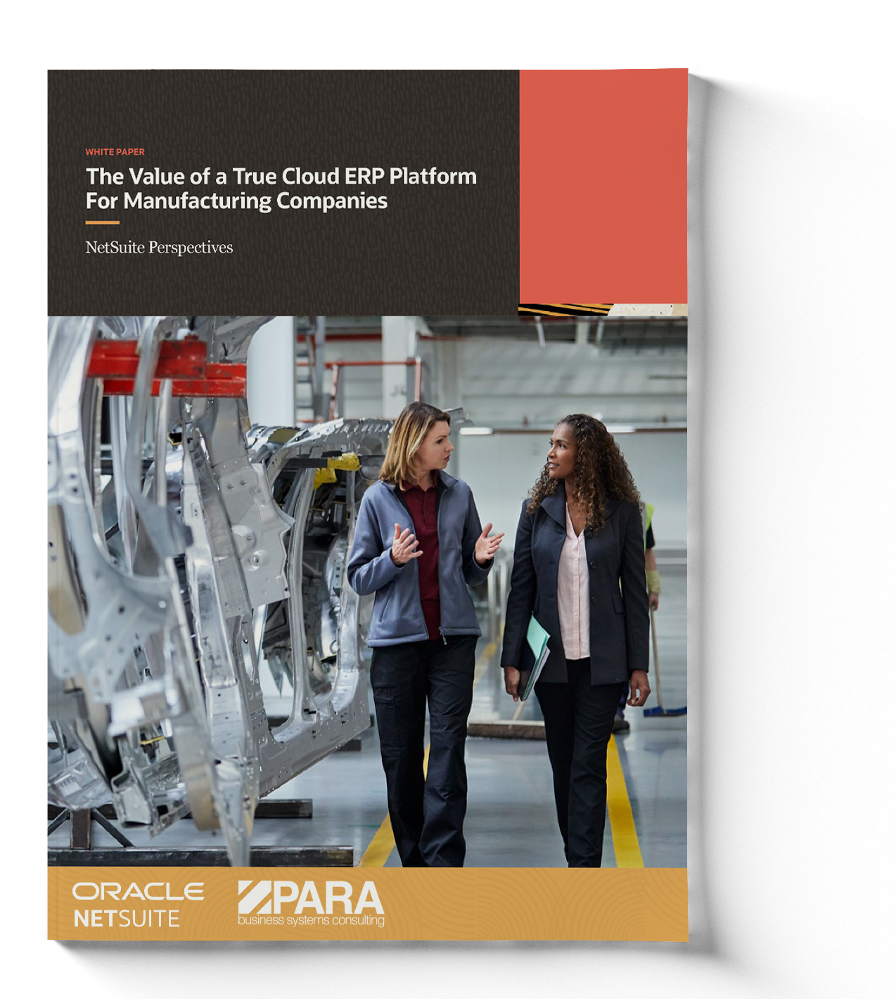 Para Business Systems Consulting