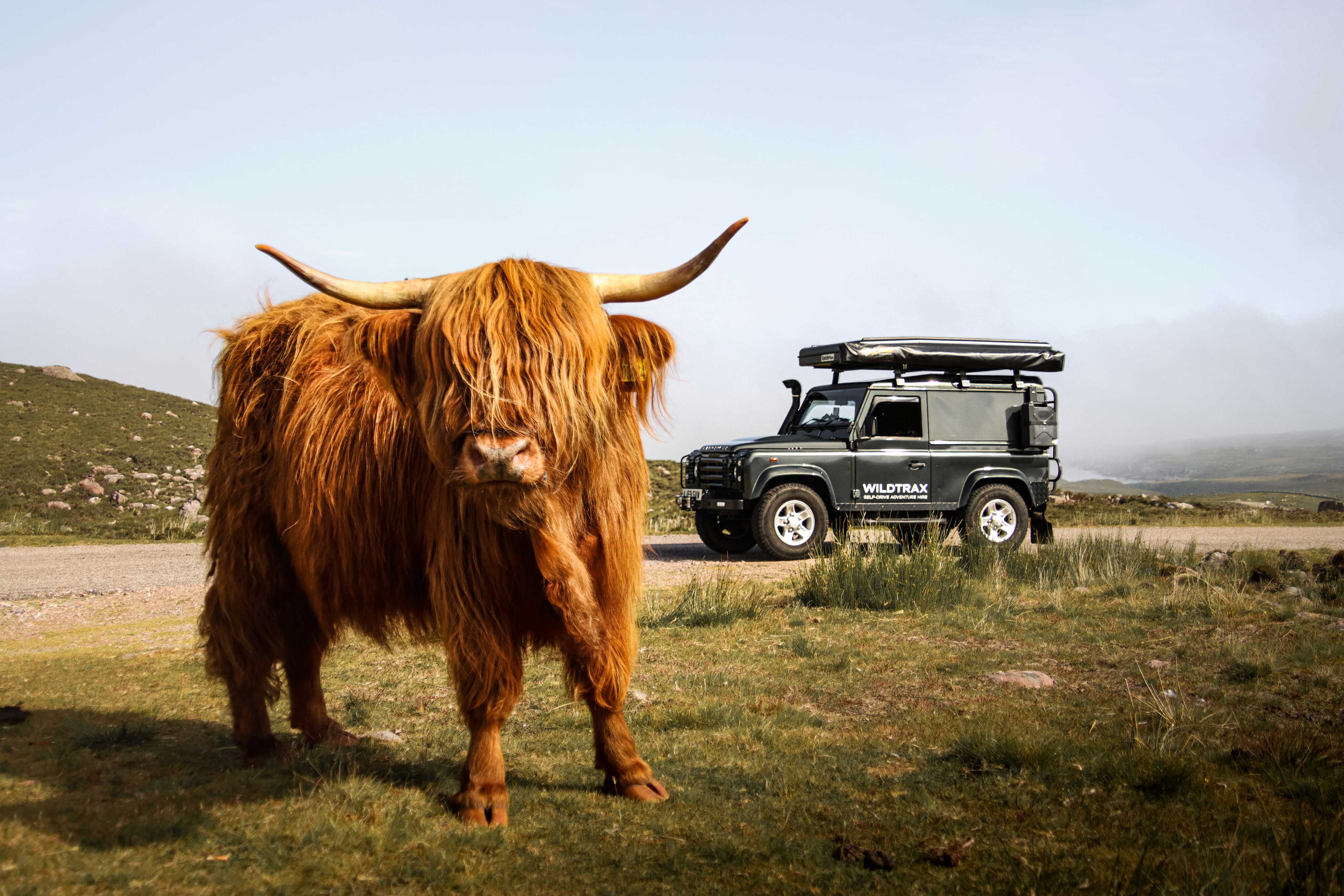 Hire a Land Rover New Defender Inverness - WildTrax Scotland