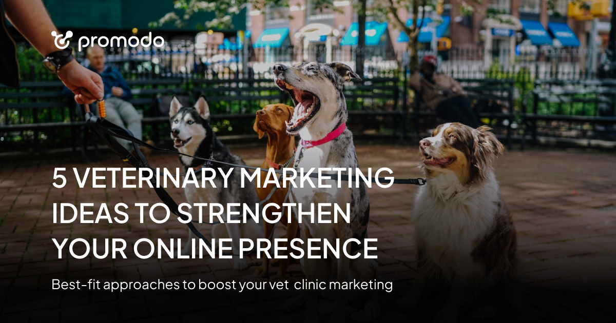 Veterinary Marketing Tips You Have to Try