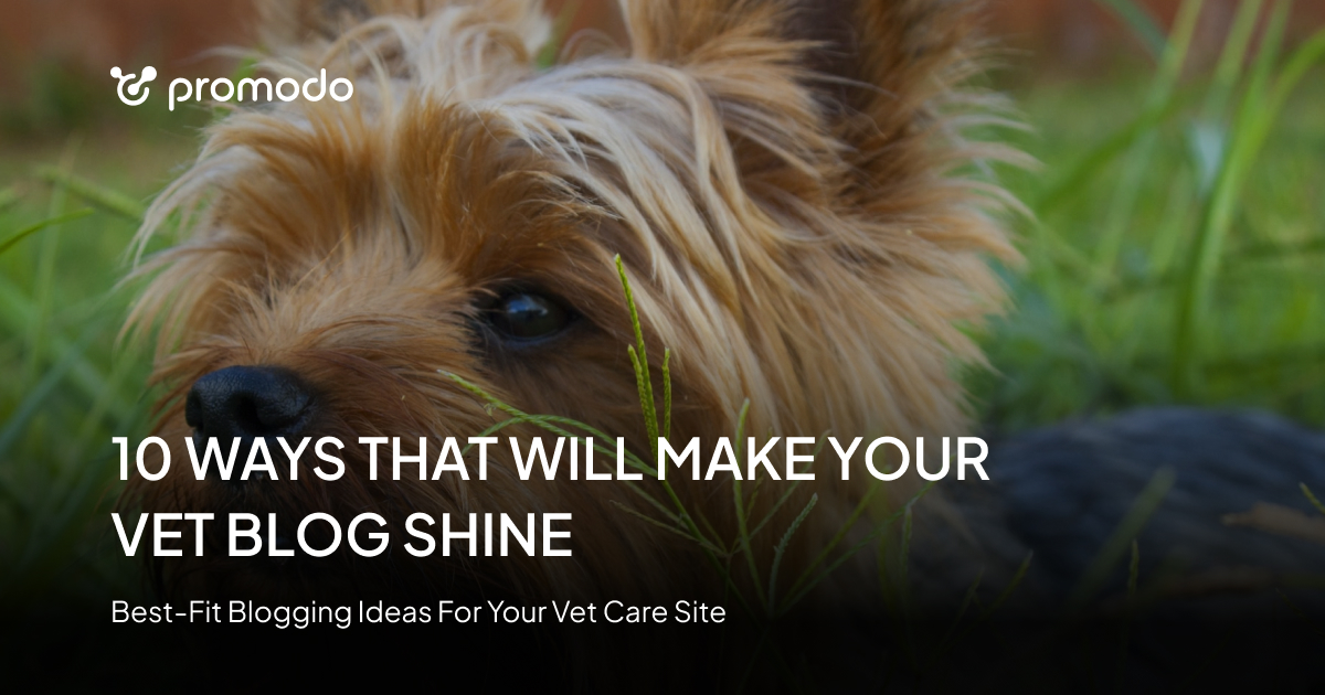 10 Fancy Topics to Write About In Your Veterinary Blog