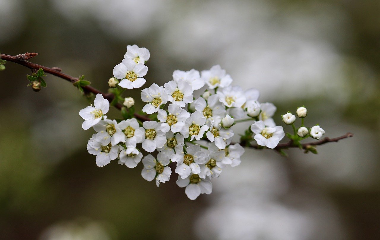 Why choose direct cremation - Funero UK