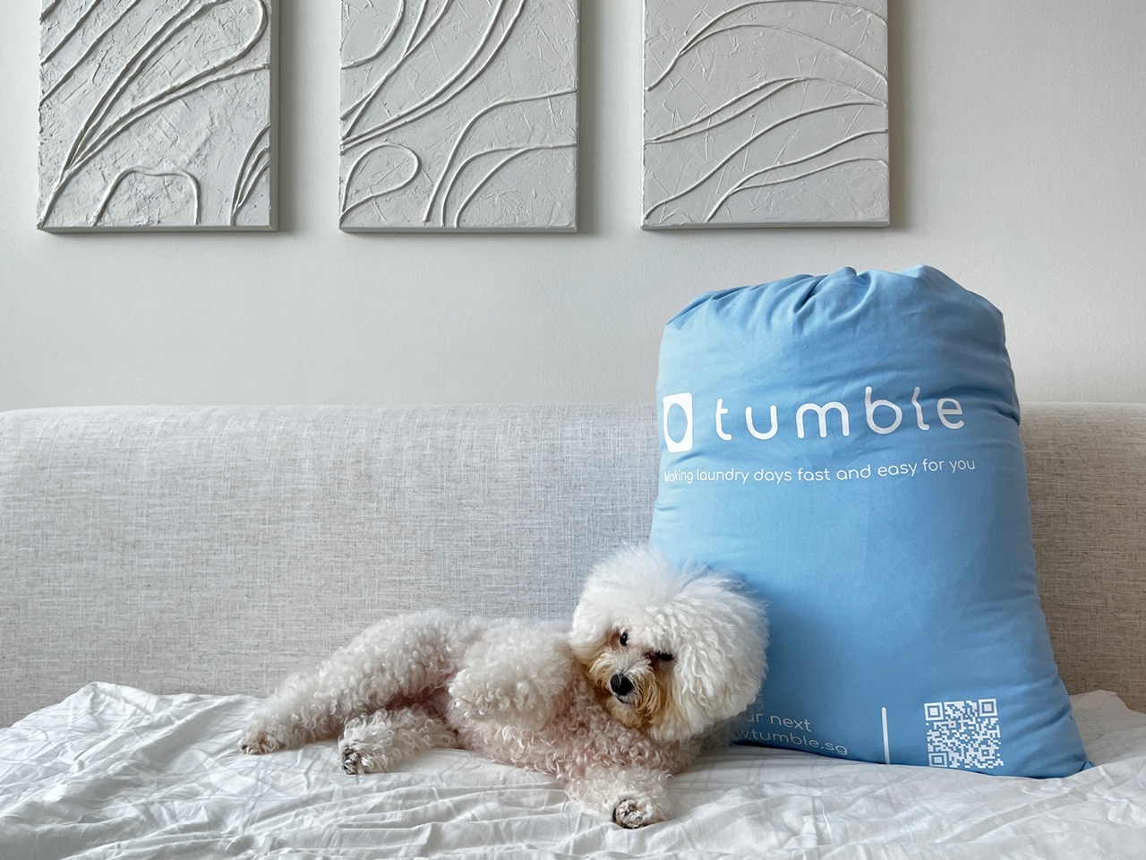 Tumble — FAQ & Support