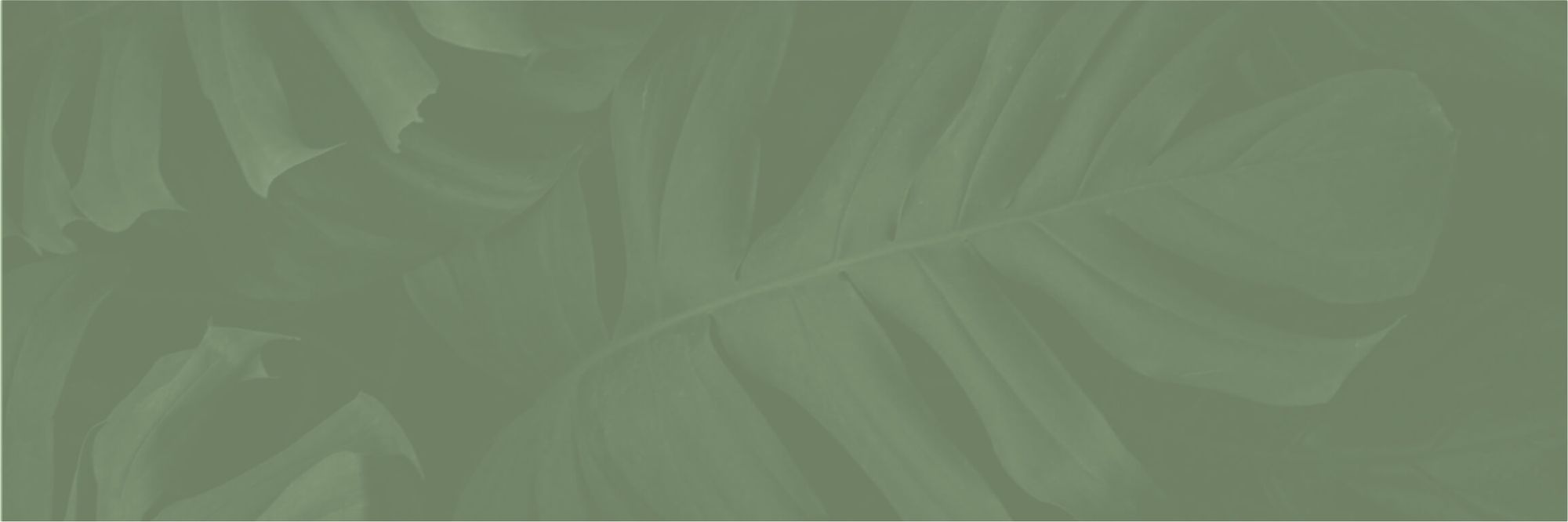 Do you need an International Driver's License in Romania? - Law Office ...