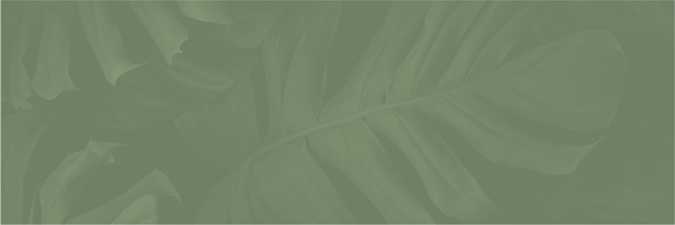 Do you need an International Driver's License in Romania? - Law Office ...