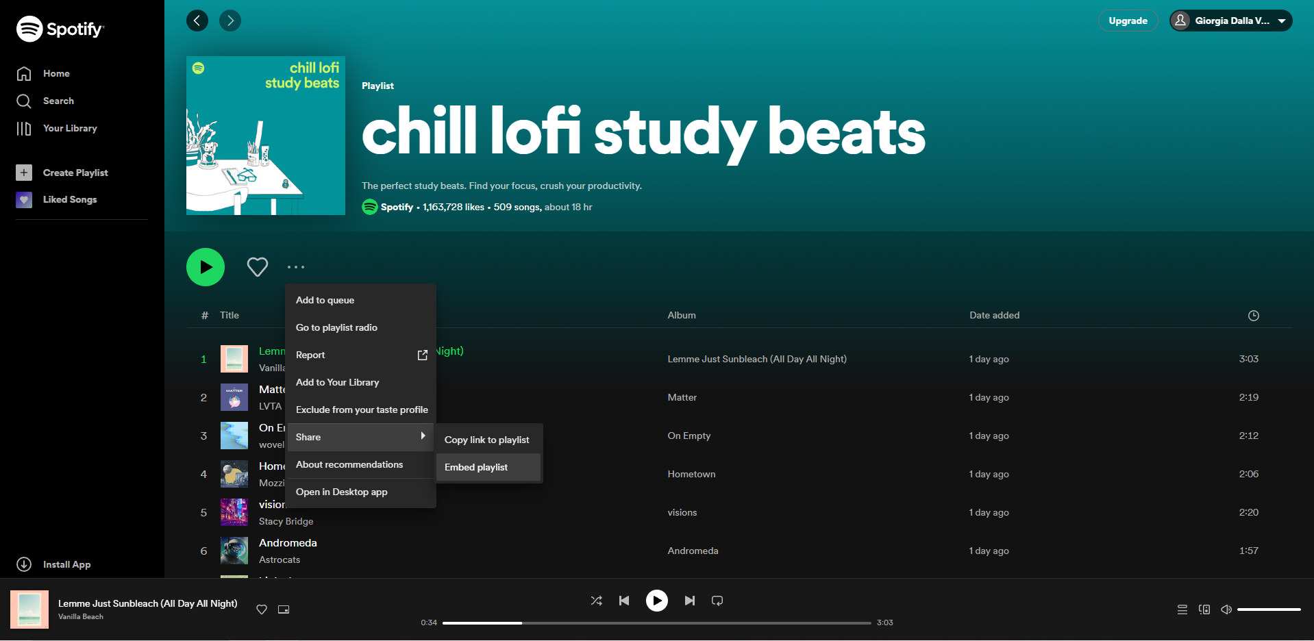 Spotify - Best Notion Widgets