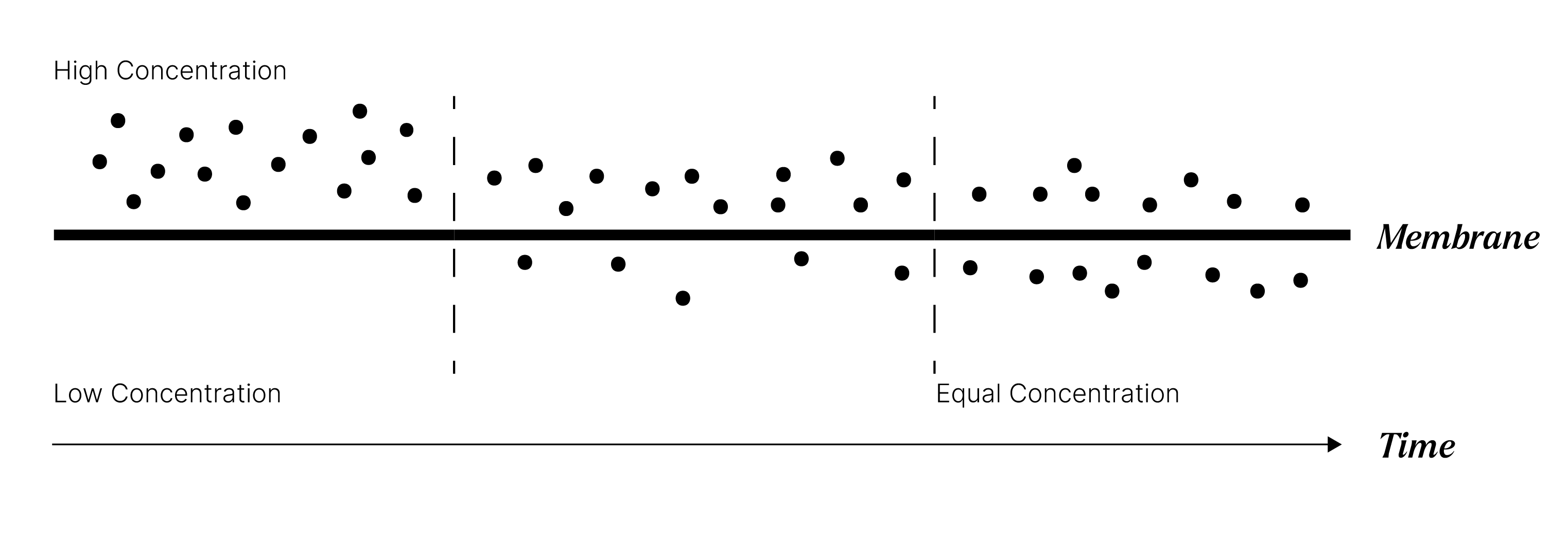 Diffusion