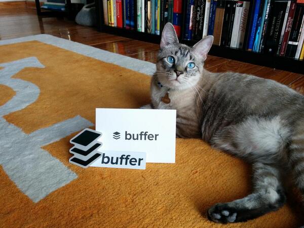 What Is a Community Champion? A Look at Buffer's Innovative Community Role