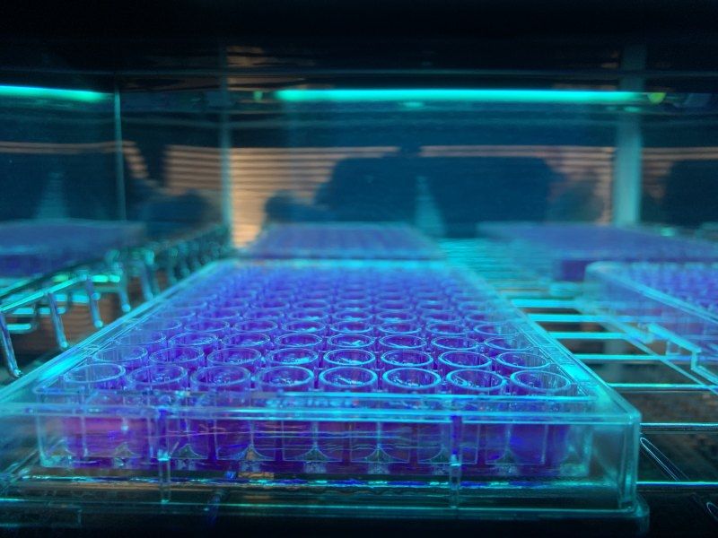 Home | Multus Biotechnology - The key ingredients for the affordable ...