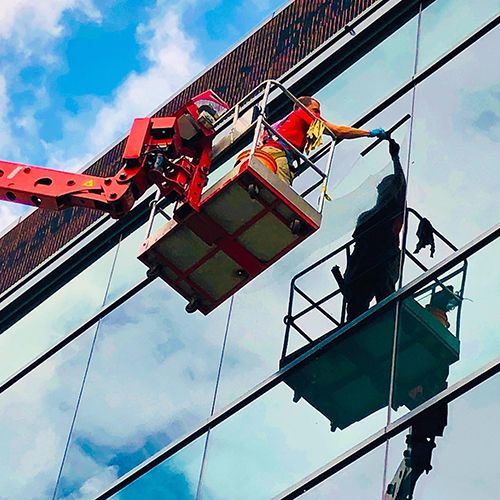 Action Window Cleaning