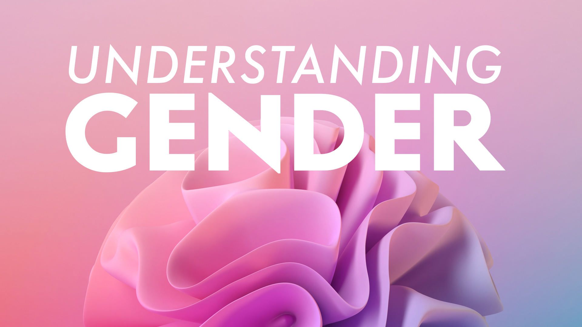 Understanding Gender Online Course: Exploring Sexual Orientations and ...