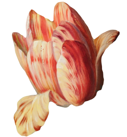 Frida's - High Bubbles