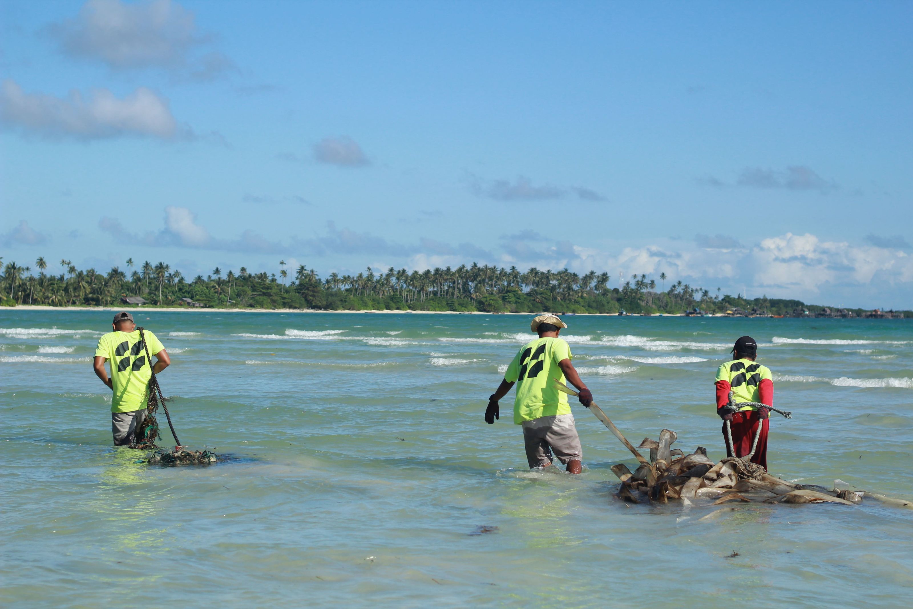 Seven Clean Seas