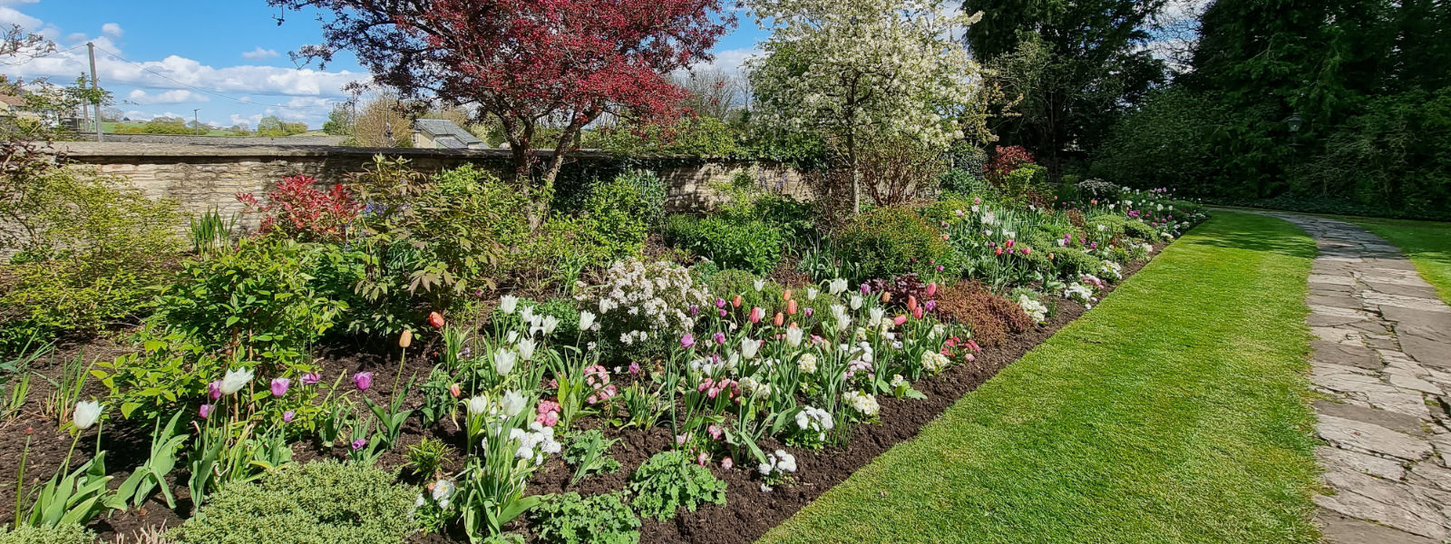 Planting Services | Somerset