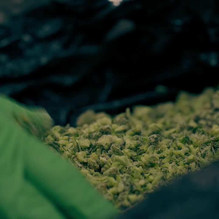 42 Degrees Processing