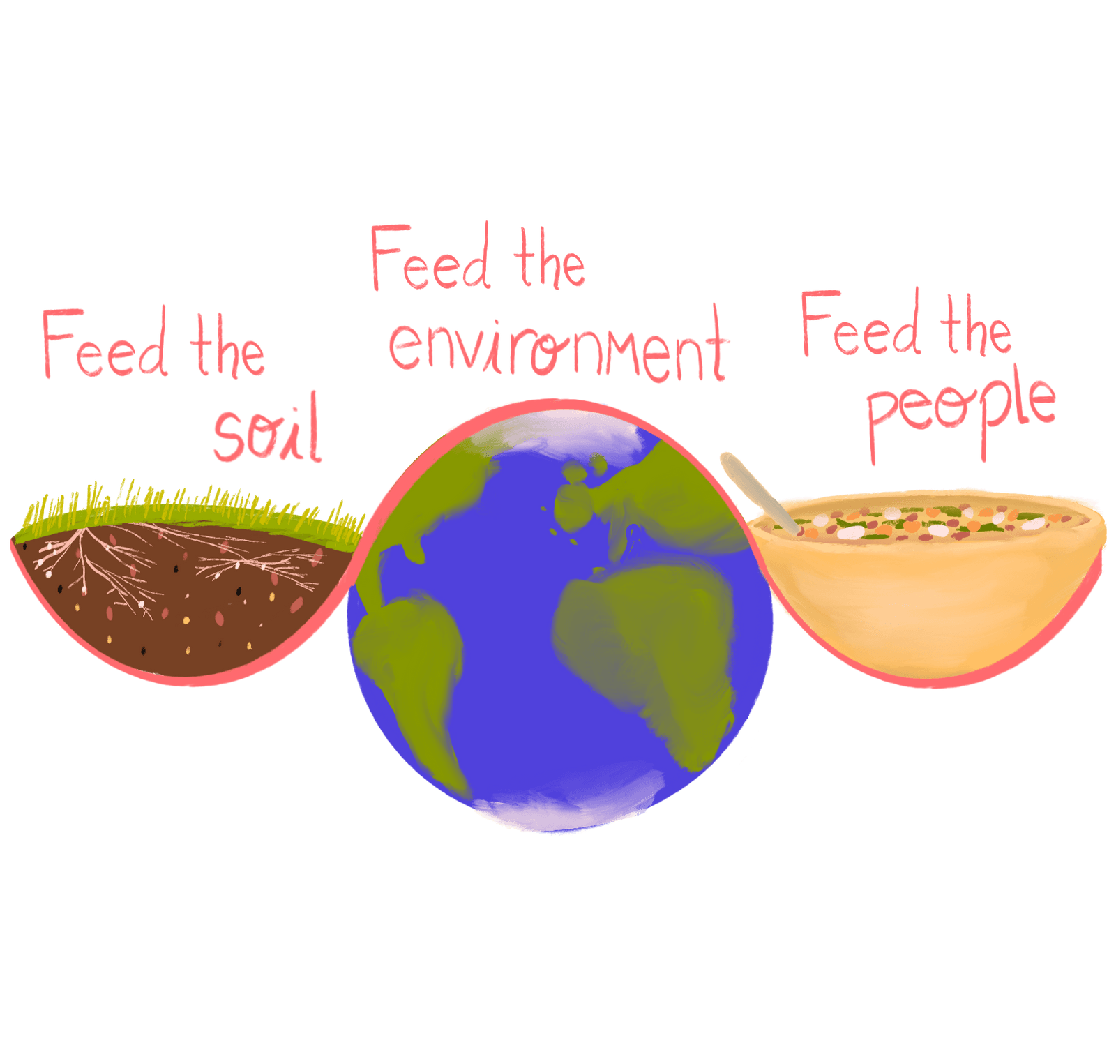 Regenerative Agriculture Explained: The Full Picture and Benefits