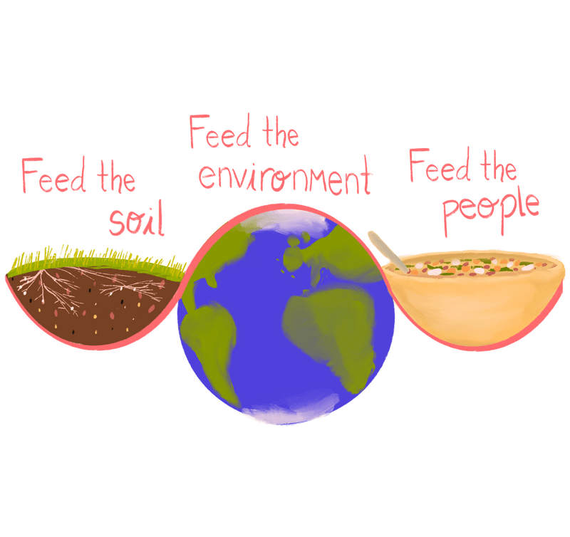 Regenerative Agriculture Explained: The Full Picture and Benefits